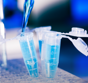 Procédures – Wagralim